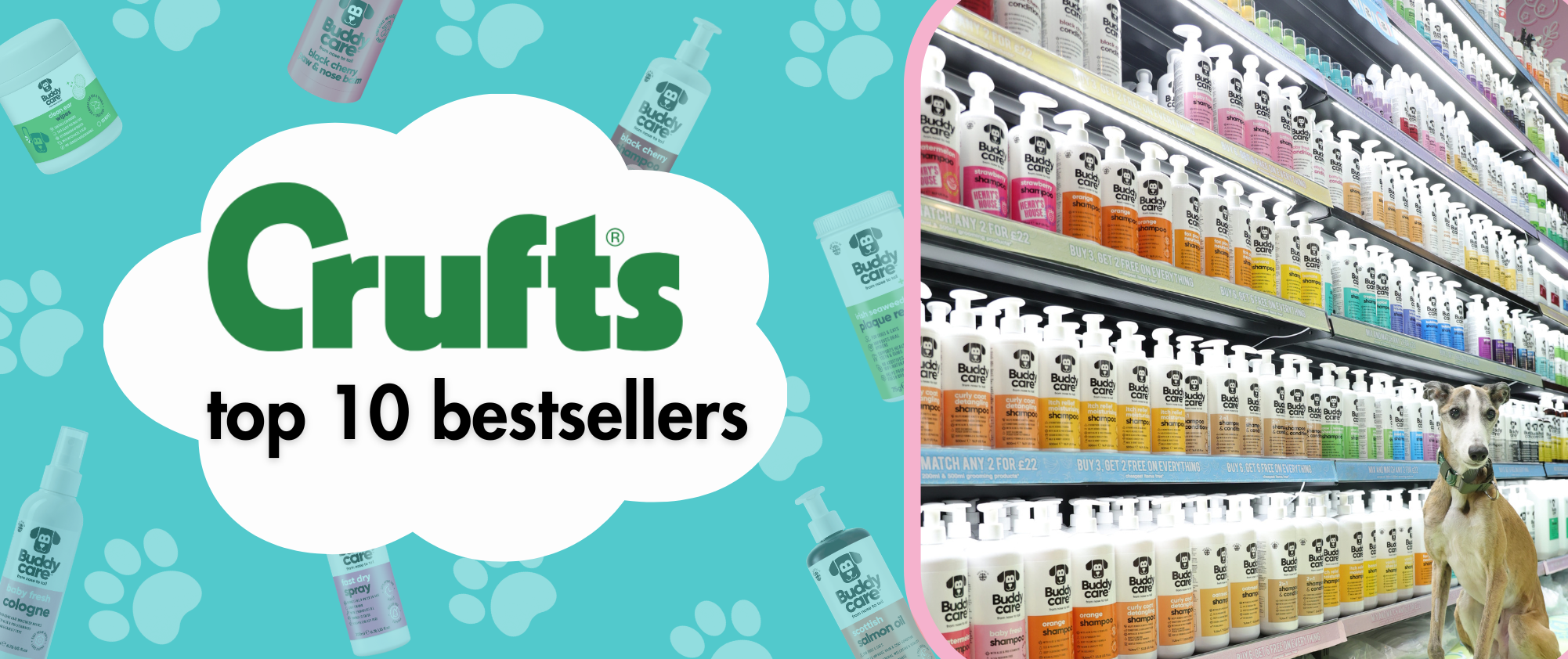 Your Favourite Picks at Crufts 2026! 🐶🎉 – Buddycare
